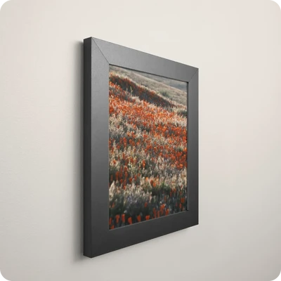 Framed Art print.
